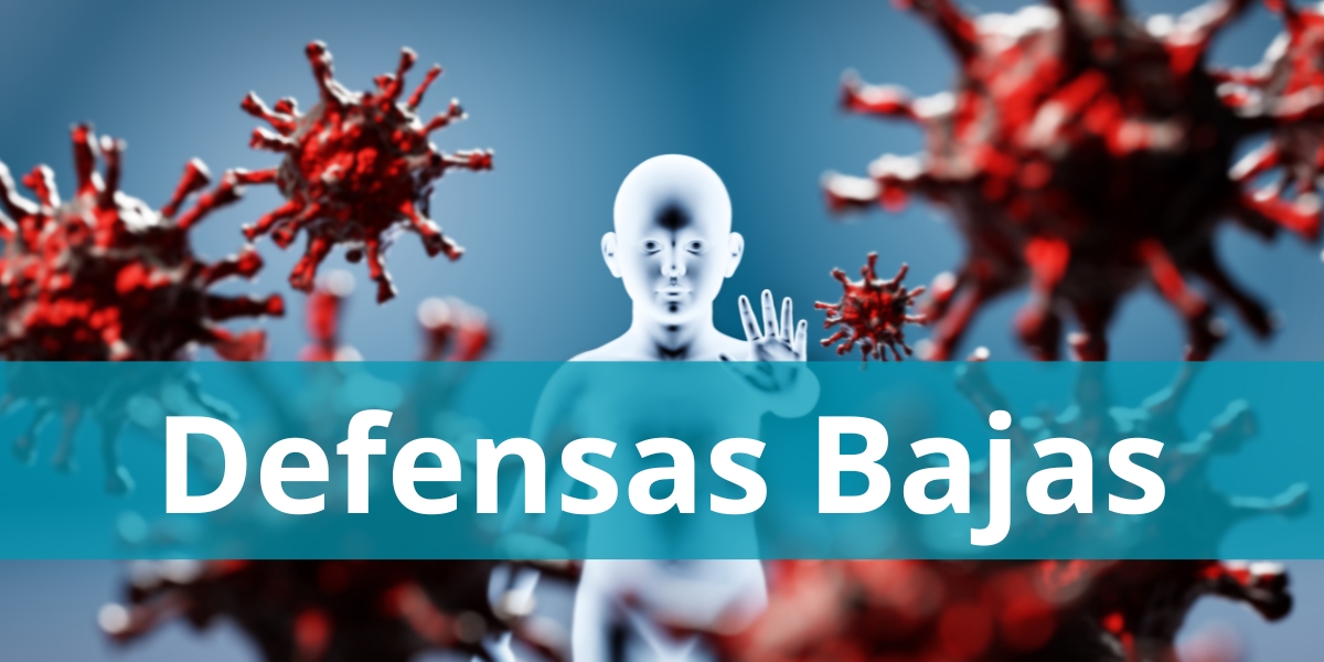 Defensas bajas y sistema inmune | Naturopatía online Elena González